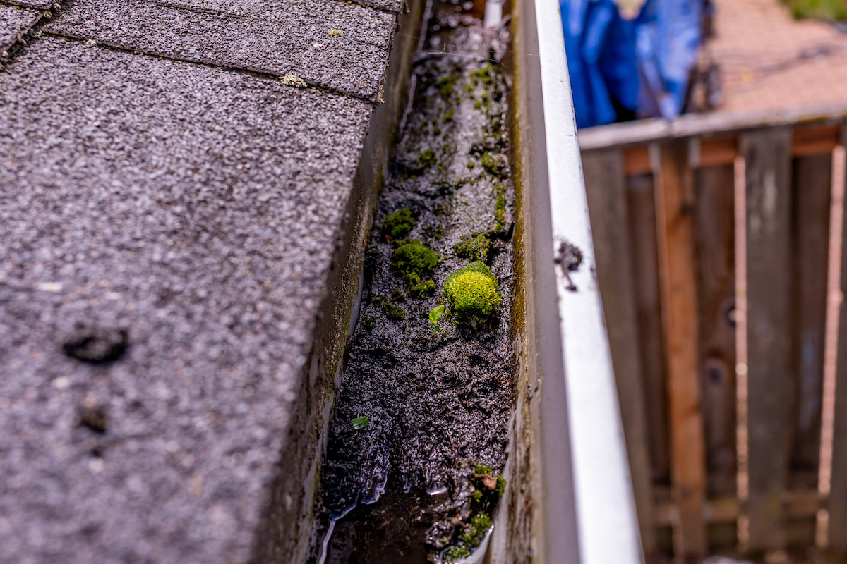Gutter Cleaning Happy Valley OR | Crystal Clear Window And Gutter Cleaning